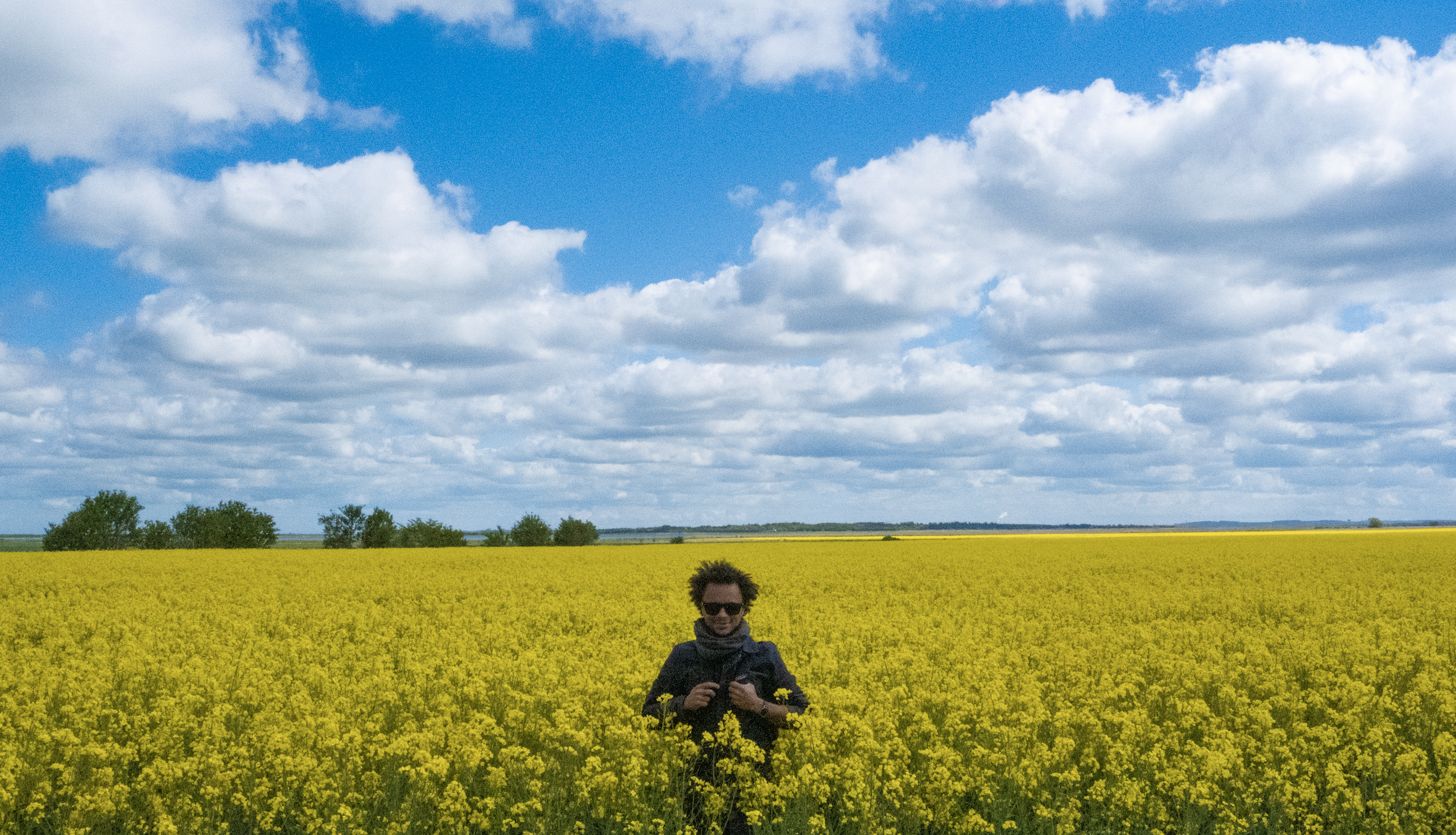 Visit Jutland: Fields of Gold A visual journey to the rapeseed fields ...